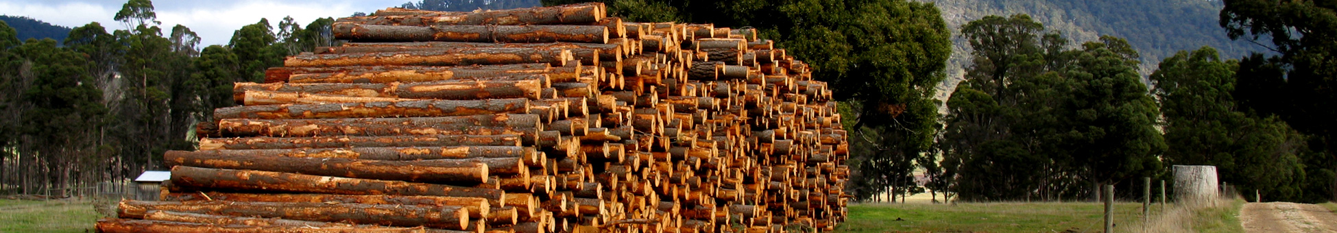 AKS Forest Solutions